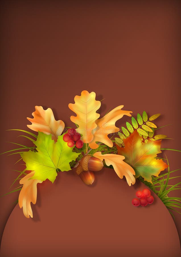 Autumn Vector Fall Leaves stock vector. Illustration of rowan - 58924007