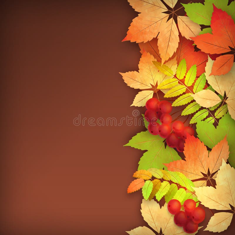 Autumn Vector Fall Leaves stock vector. Illustration of nature - 54287251