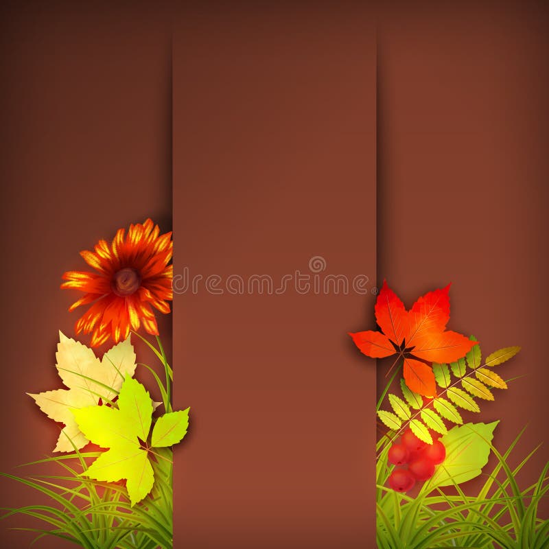 Autumn Vector Fall Leaves stock vector. Illustration of collage - 55559959