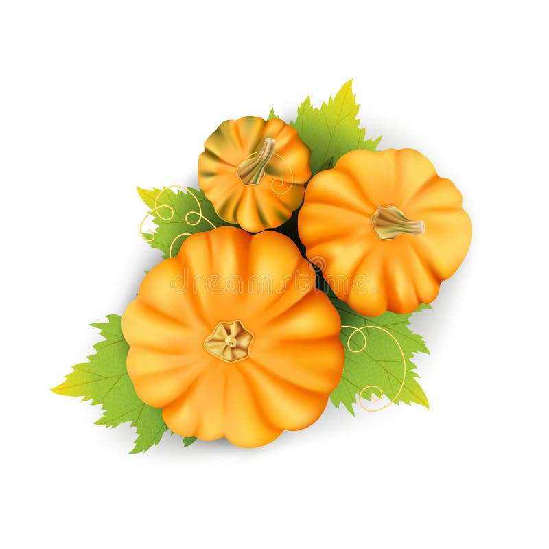 Autumn Vector Pumpkins with Leaves, Top View Stock Vector ...