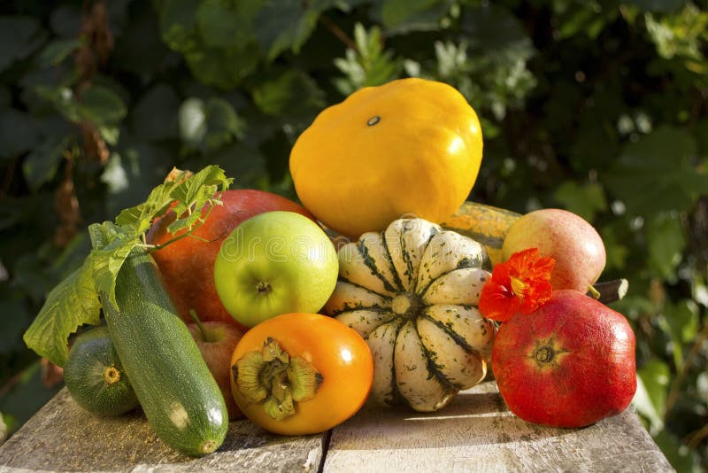 Autumn Vegetable and Fruits Collection Stock Photo - Image of ...