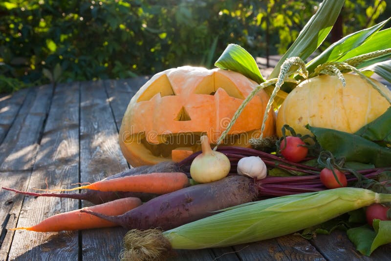 Autumn vegetables stock photo. Image of season, october - 25431156