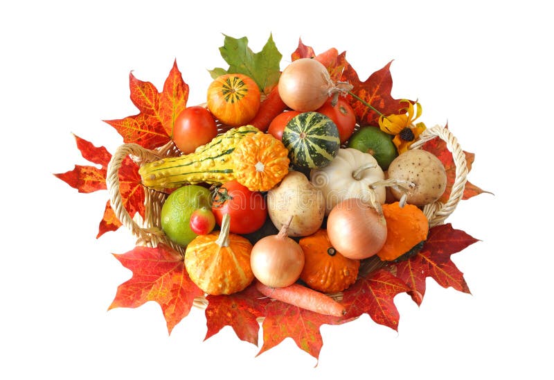 Autumn Vegetables stock photo. Image of october, harvest - 6458806