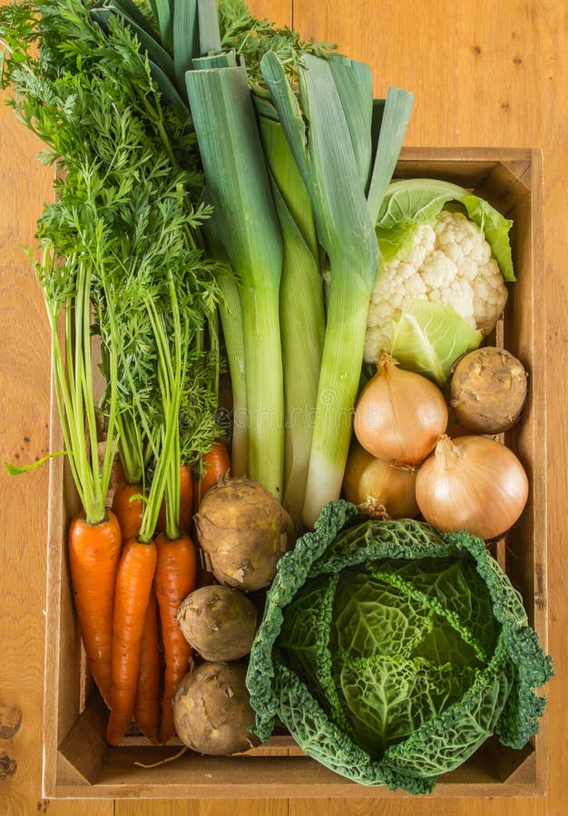 Autumn Vegetables stock photo. Image of october, harvest - 6458806