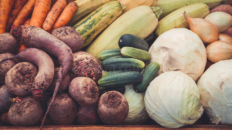 Autumn vegetables harvest. stock photo. Image of organic - 101989418