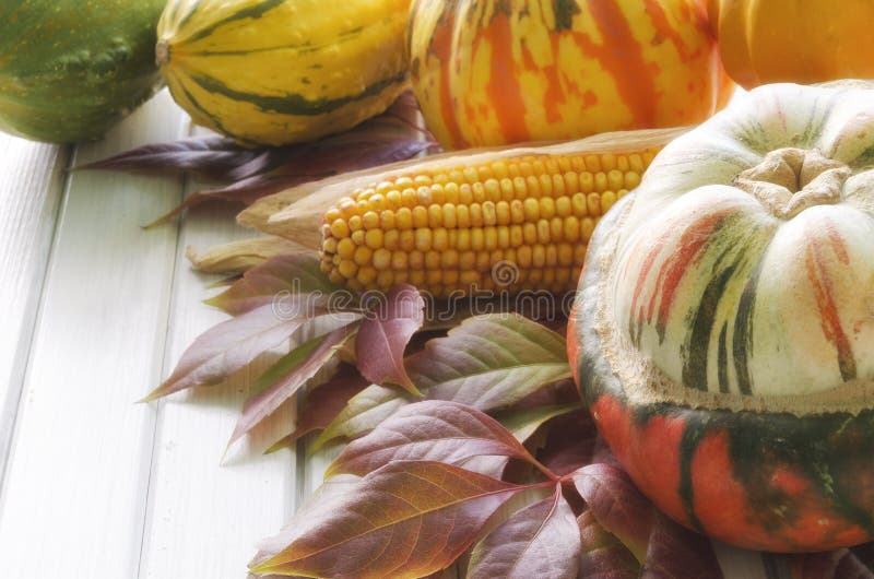 Autumn vegetables stock image. Image of pumpkin, vegan - 35480739