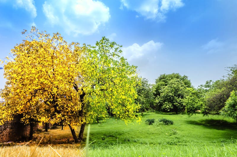 Autumn Versus Spring Concept Stock Image - Image of morning ...