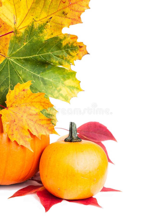 37+ Vertical autumn border Free Stock Photos - StockFreeImages