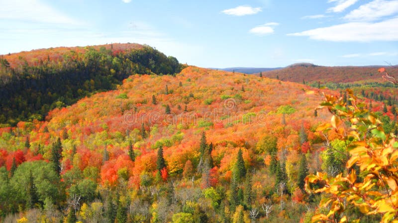 Fall Colors, Mountain View, Michigan Stock Image - Image of trees ...