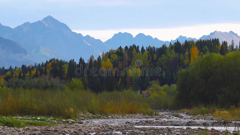 Autumn View of the Bialka River Czarna Gora, Poland. Stock Footage ...
