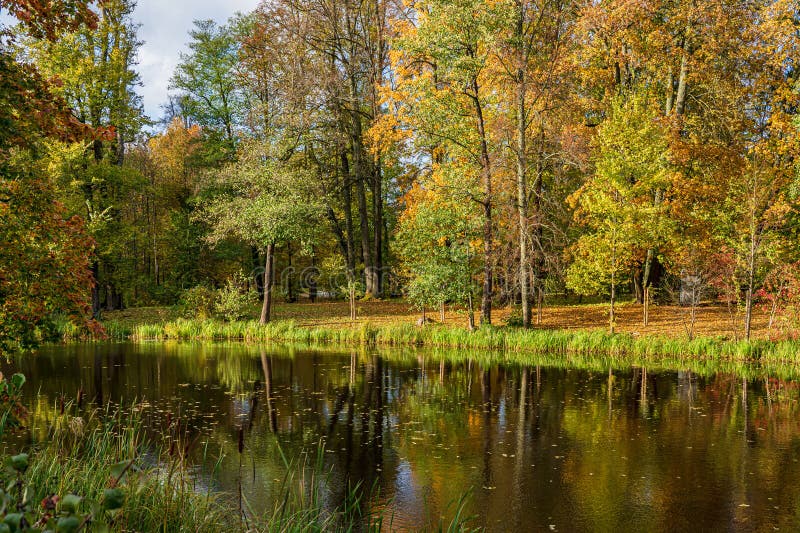 Autumn View with Colourful Trees in a Park with Reflection in a Pond ...