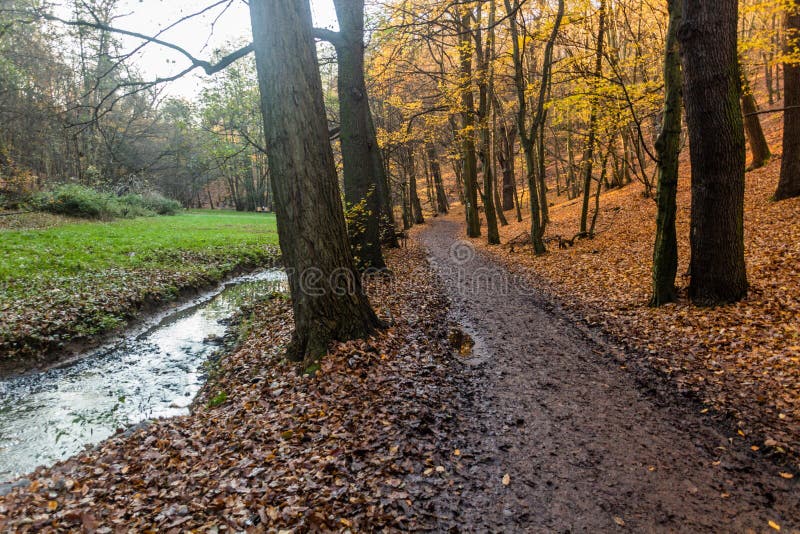 Autumn View of a Forest Path in Kunraticky Forest in Prague, Czech ...