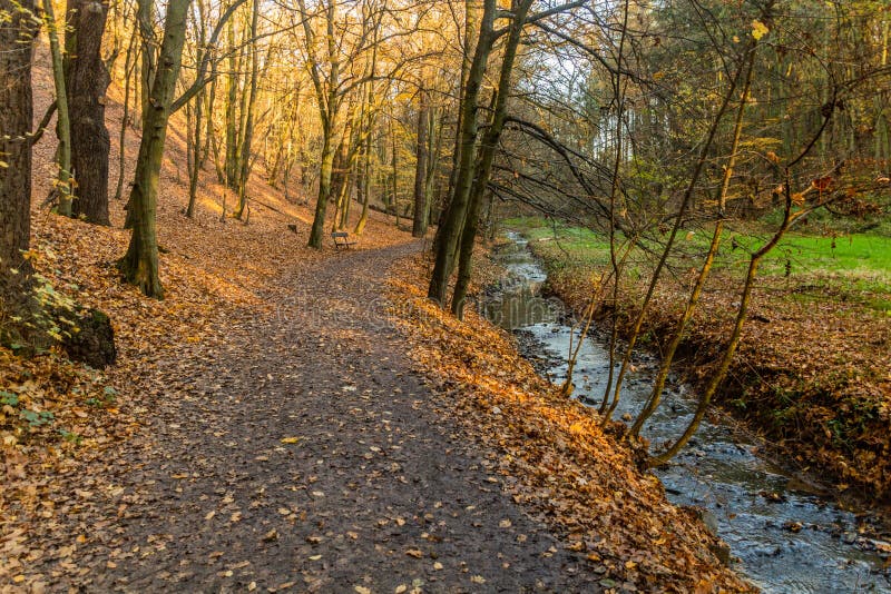 Autumn View of a Forest Path in Kunraticky Forest in Prague, Czech ...