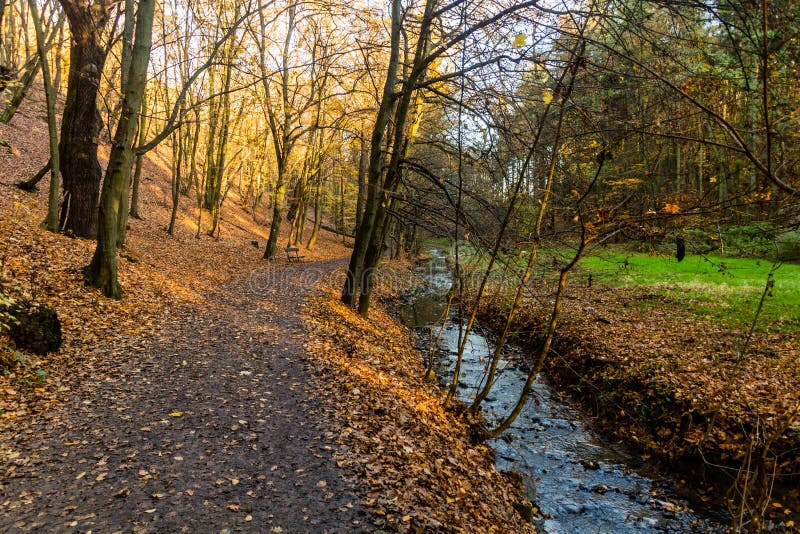Autumn View of a Forest Path in Kunraticky Forest in Prague, Czech ...