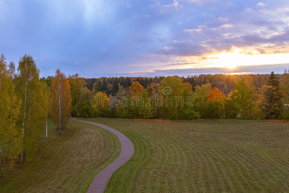 Autumn View from the Observation Tower of Birch Trees, Mown Grass and ...