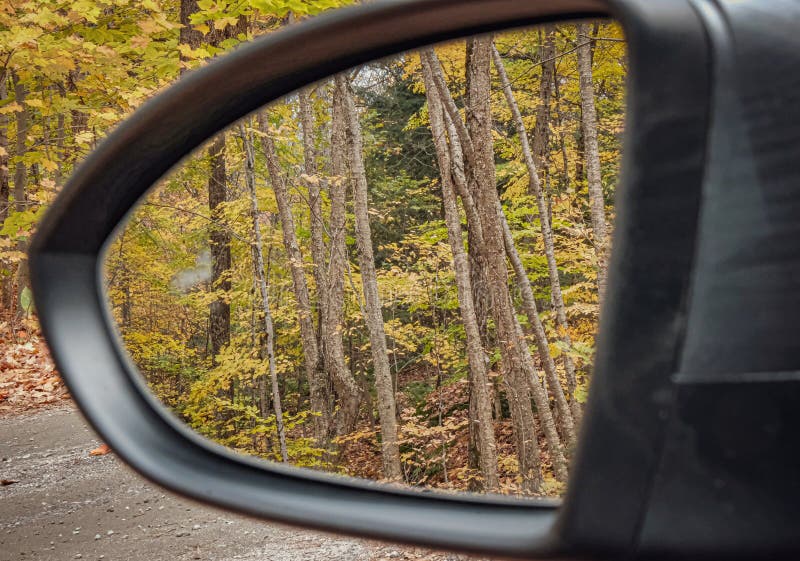 View from the rear mirror stock image. Image of plant - 336745719