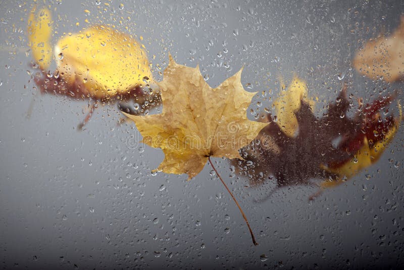 Autumn Views through the Window Stock Photo - Image of color, orange ...