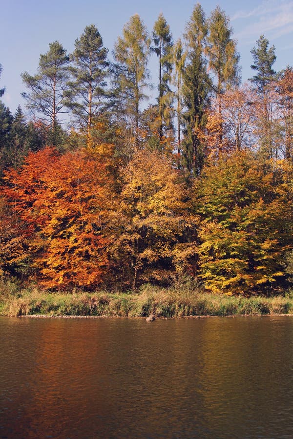 Autumn vintage scenery stock photo. Image of nature, pond - 46354556