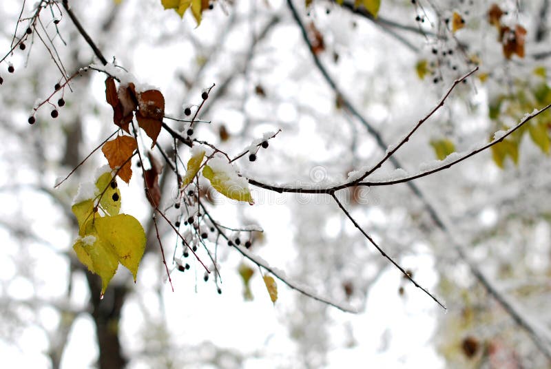 Autumn vs. Winter stock photo. Image of autumn, landscape - 49538966