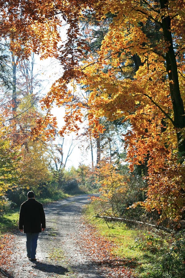 Autumn walk stock image. Image of leaves, season, foliage - 10895843