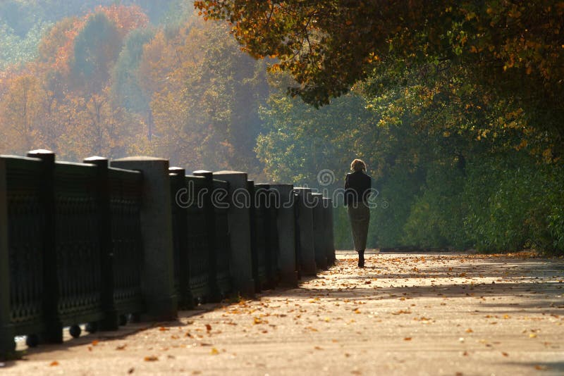 Autumn walk stock photo. Image of leaves, walk, autumn - 1336752