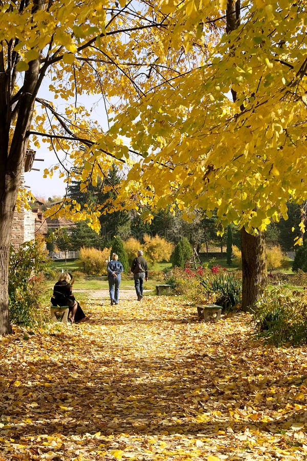 Autumn walk stock photo. Image of alley, trees, alone - 1476282