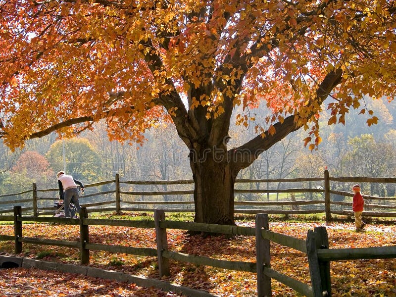 Autumn Walk stock image. Image of leaves, toddler, park - 1918497