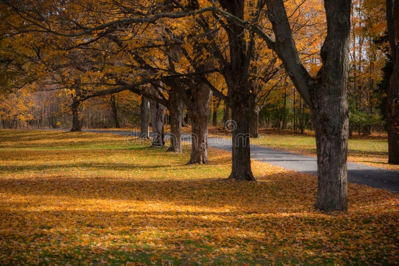 Sidewalk in Autumn stock image. Image of neighborhood - 7225195