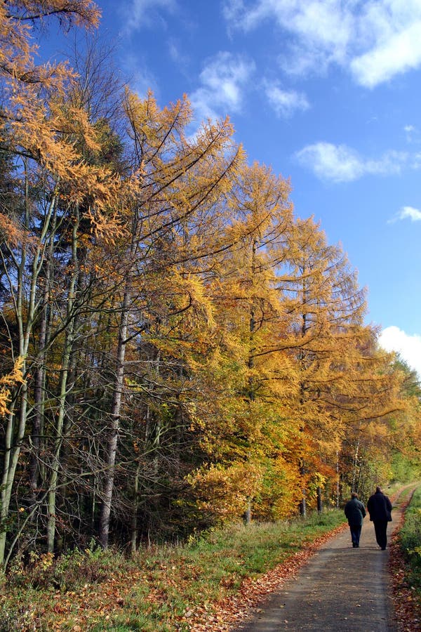 Autumn walk stock image. Image of seasoncolour, clouds - 933047