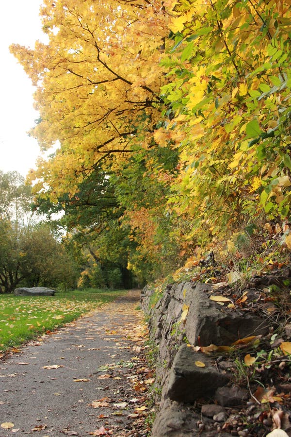 Autumn Walk stock image. Image of leaves, mood, trees - 35481965