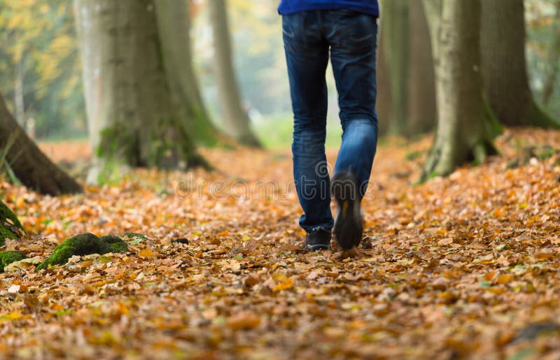The walk stock photo. Image of distant, morning, person - 60857718