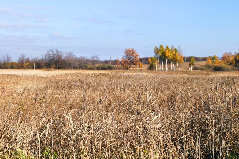 Autumn walk in the fields stock photo. Image of europe - 69200478