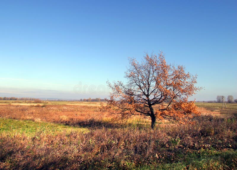 Autumn walk in the fields stock photo. Image of journey - 69200862