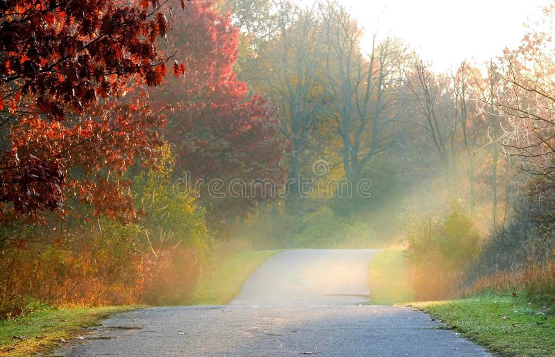 Autumn Walk Way stock image. Image of october, leaves - 7411175