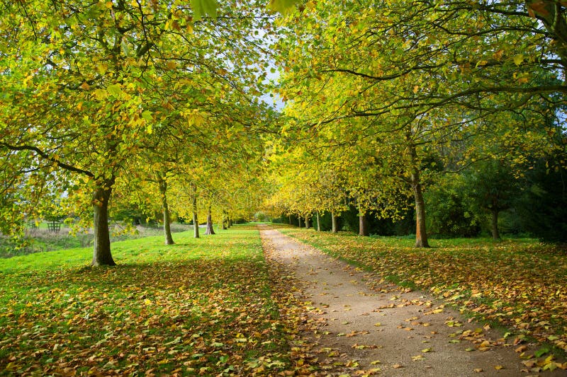 Walking path through park stock photo. Image of outdoors - 31673712