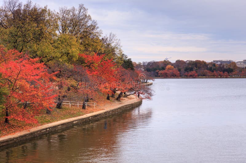 Autumn Washington DC Tidal Basin Stock Photo - Image of outdoor, tidal ...
