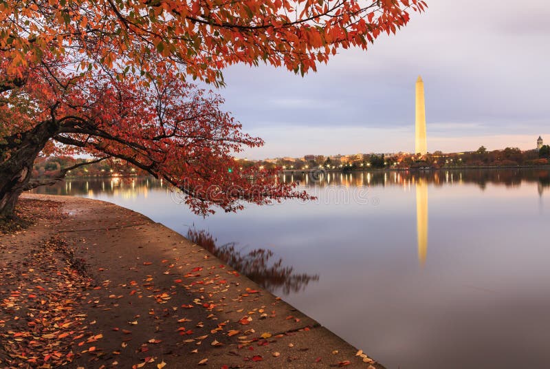 Autumn Washington DC Tidal Basin Monument Stock Photo - Image of ...