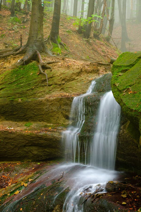 Autumn Water Landscape with Reflection in the River of Cloudy Sky and ...