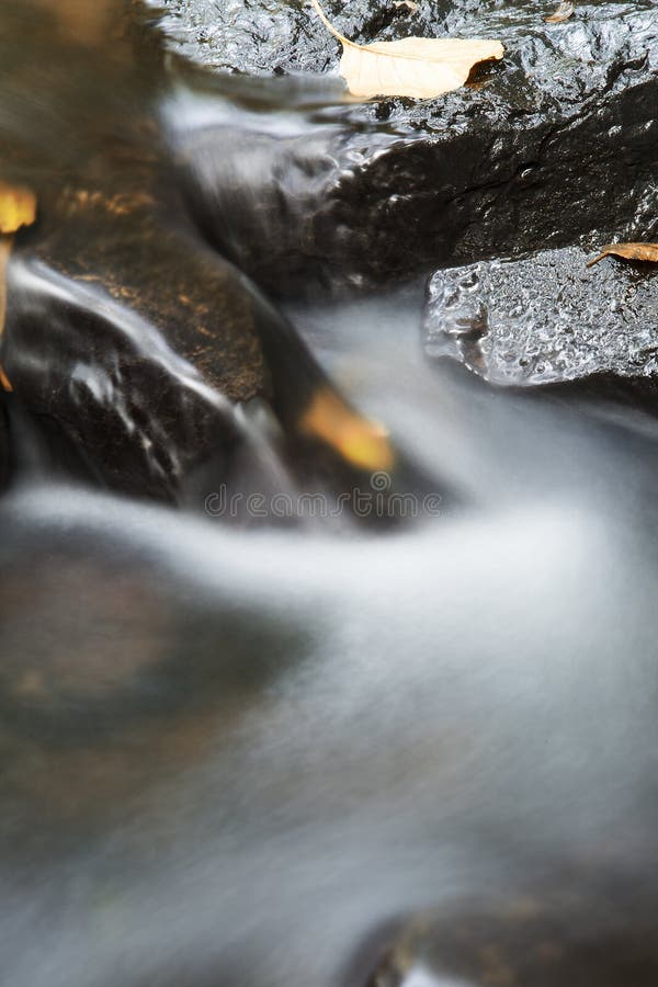 Autumn Water Landscape with Reflection in the River of Cloudy Sky and ...