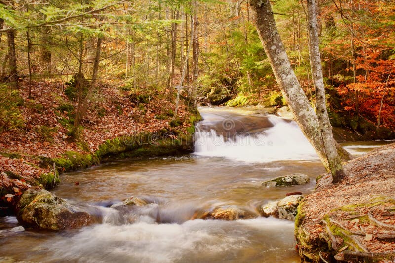 Autumn Waterfall stock image. Image of white, colorful - 13116809