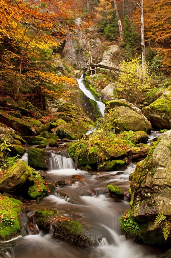 Autumn Smoky Mountain Stream Stock Image - Image of lush, landscape ...