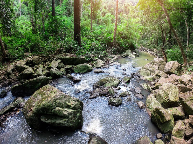 Autumn Waterfall Stream Scene Stock Photo - Image of stream, outdoors ...