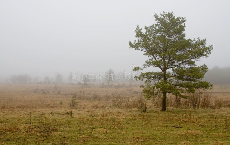 Autumn weather stock image. Image of mystery, tranquil - 21212863