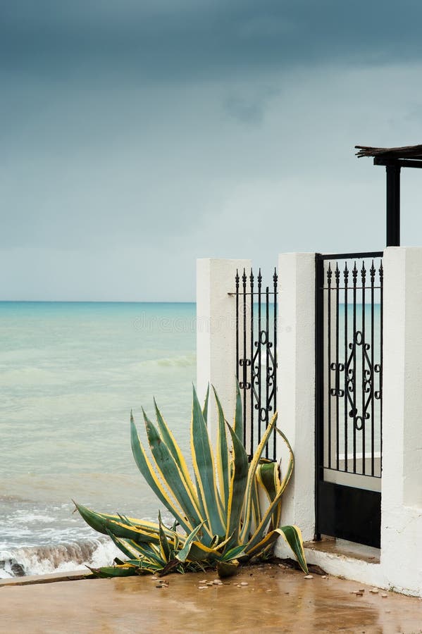 Autumn weather stock image. Image of agave, white, space - 22124899