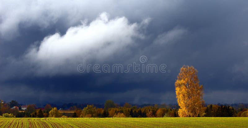 Autumn weather stock image. Image of weather, rural, orange - 3310617