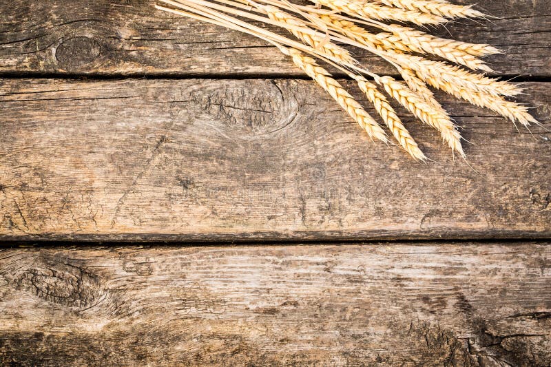 Autumn Wheat on Old Wood Texture Stock Photo - Image of wooden, blank ...