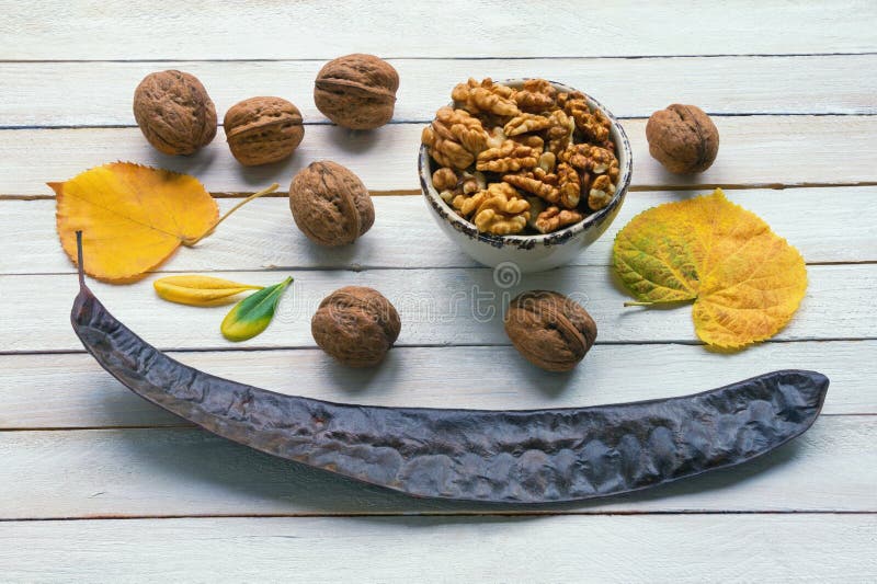 Autumn. Whole Walnuts, Walnut Kernels, Yellow Leaves and Pod of ...