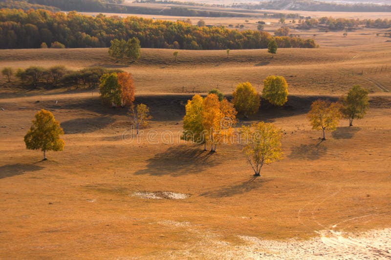 Autumn stock photo. Image of autumn, desolate, land, quiet - 47992646