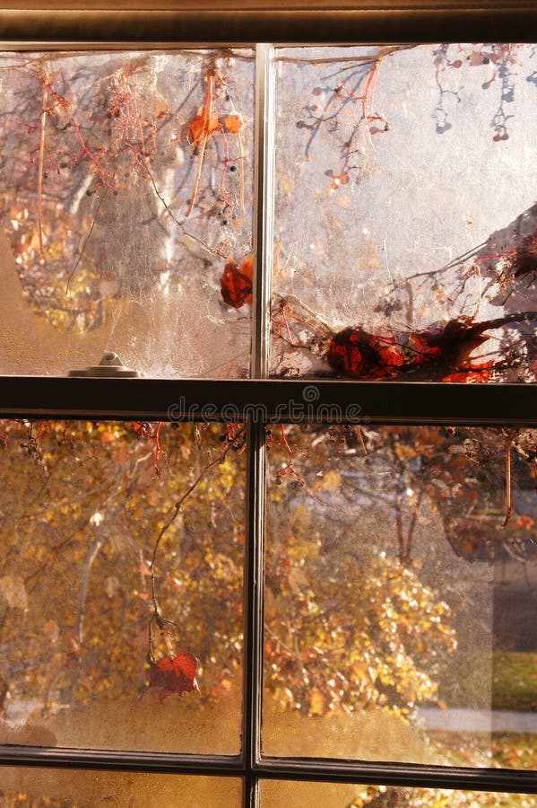 Autumn window stock photo. Image of window, apartment - 1838108