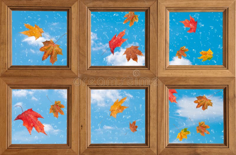 Autumn Window stock photo. Image of falling, window, blue - 26363690